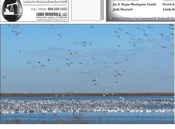 Perryton Herald